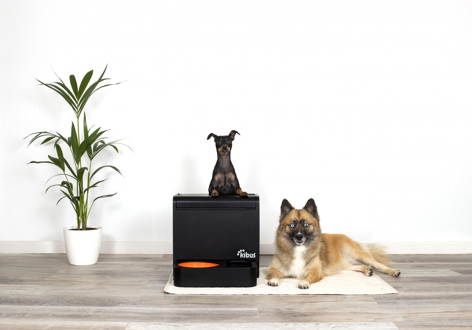 Mission accomplished - petworldwide