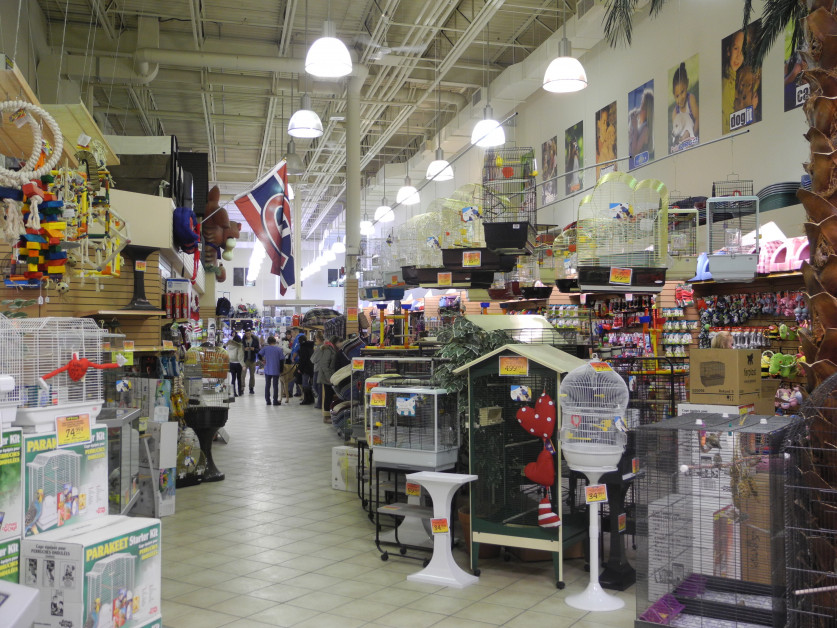 New report on Canada - petworldwide