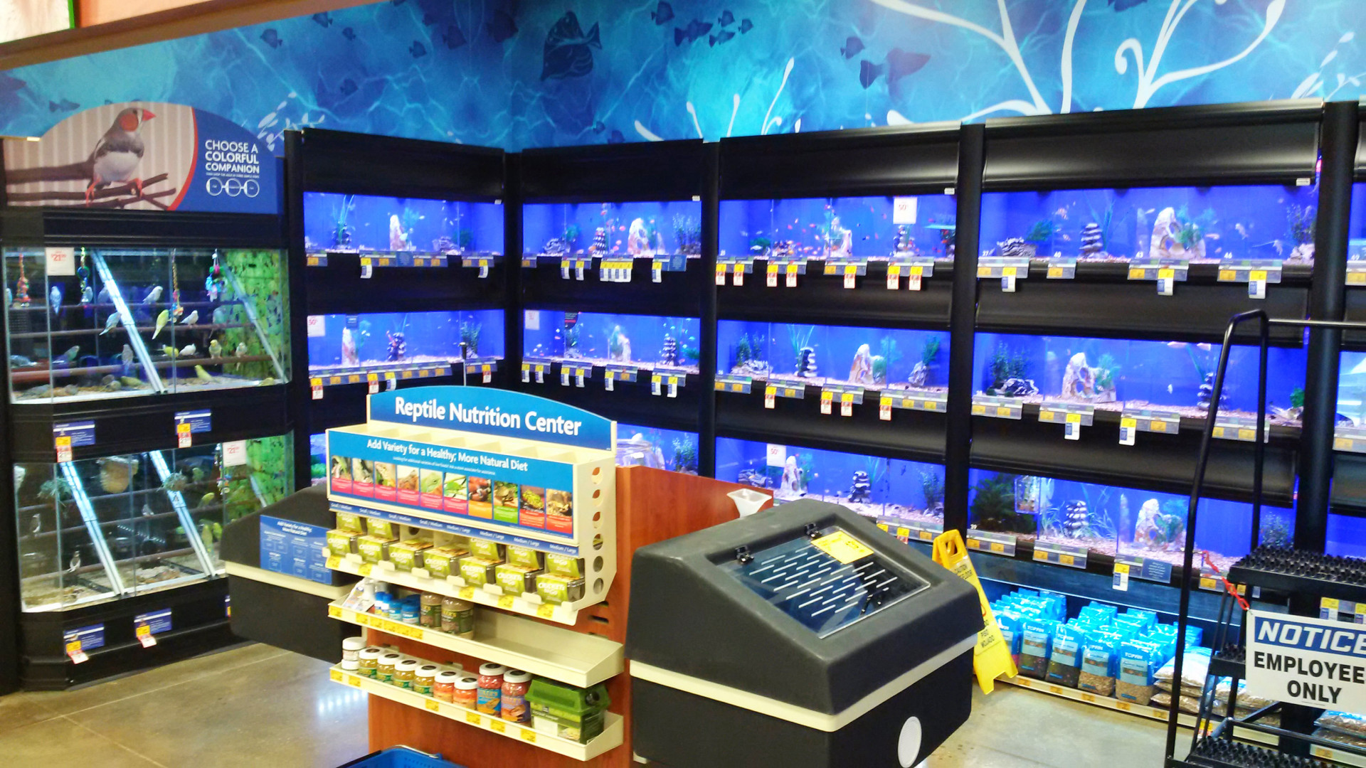 PetSmart reinvents itself - petworldwide