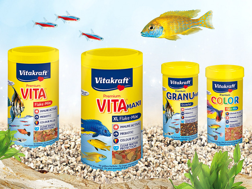 Optimal feeding of ornamental fish - petworldwide