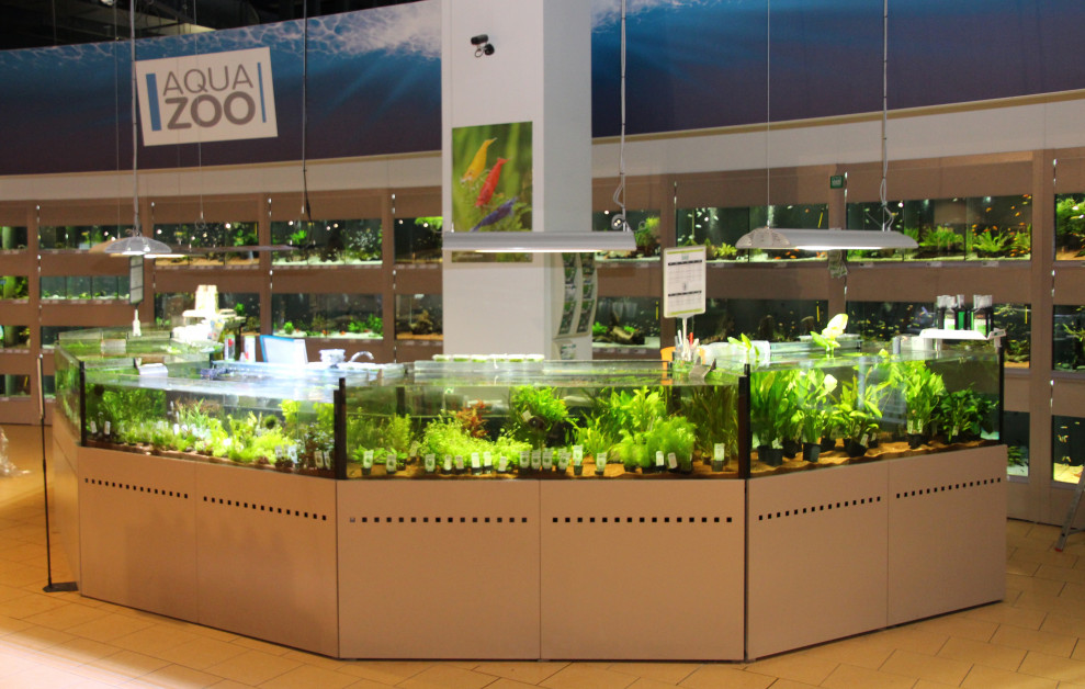 Kölle Zoo acquires five Megazoo out... - petworldwide