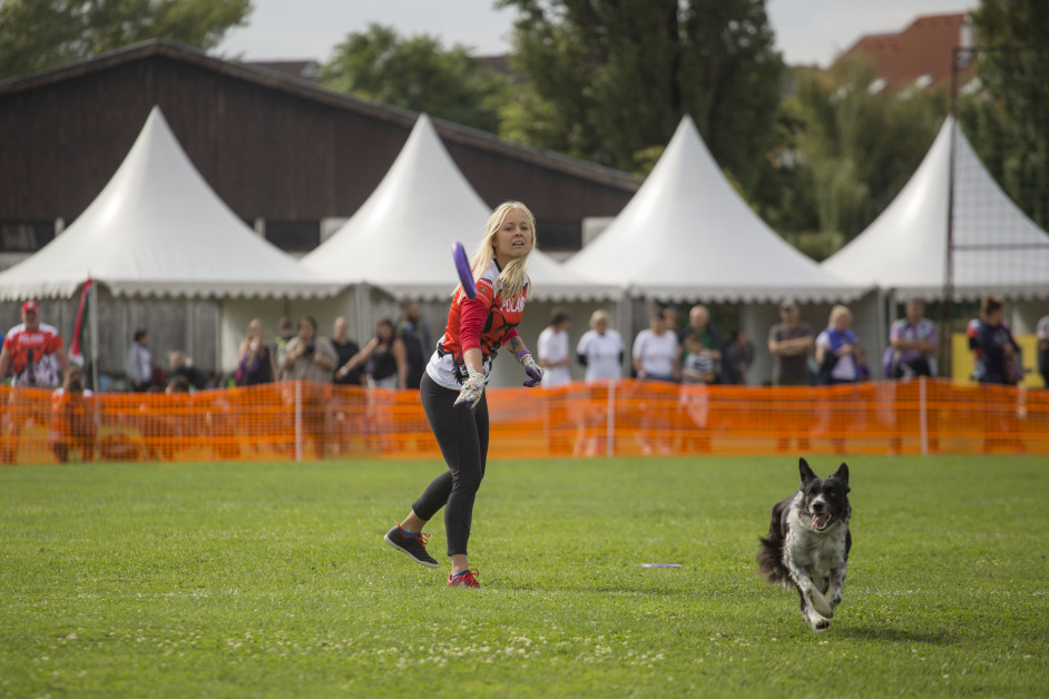 Dog Puller World Championship in Hu... - petworldwide