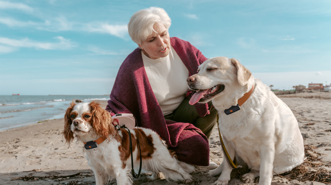 Pet tech marches on - petworldwide