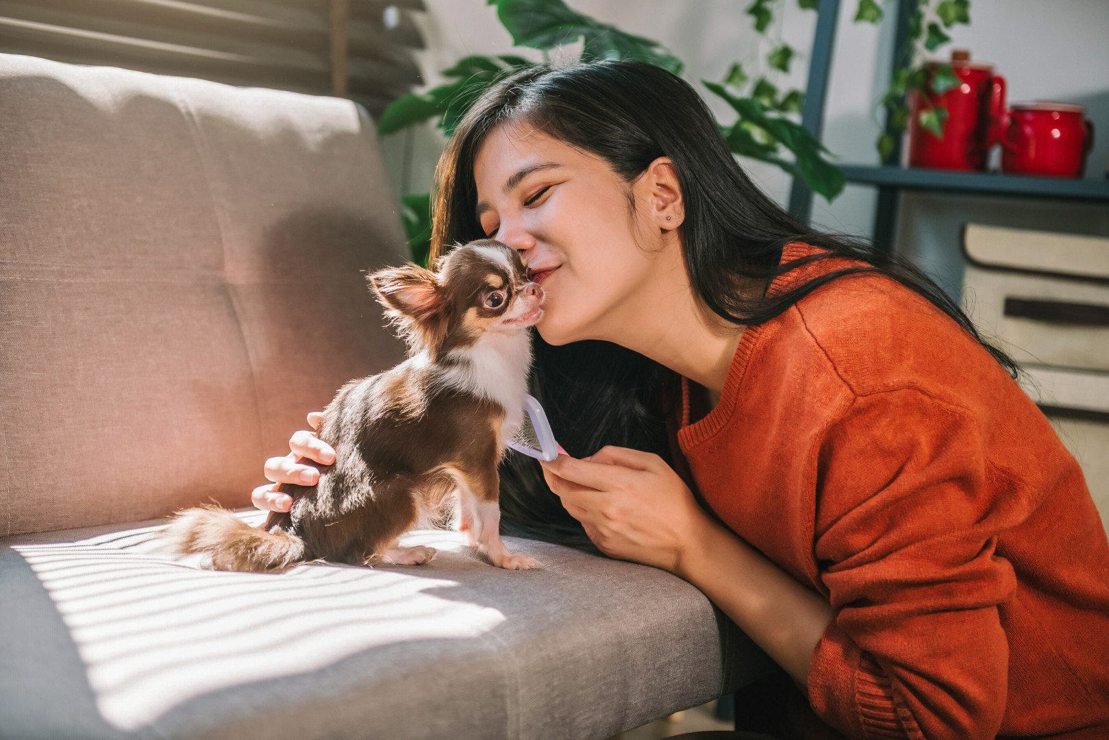 National Small Dogs Day - petworldwide