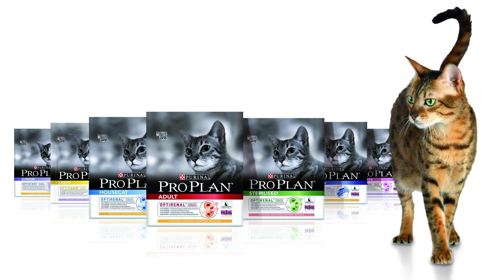 New design for Pro Plan - petworldwide