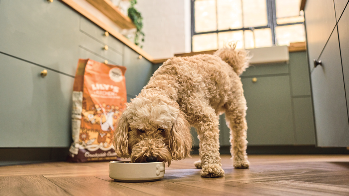 Lily’s Kitchen celebrates B Corp ce... - petworldwide