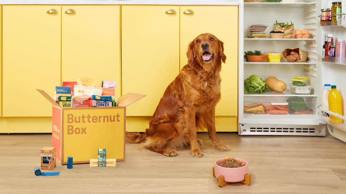 Butternut Box secures new round of ... - petworldwide