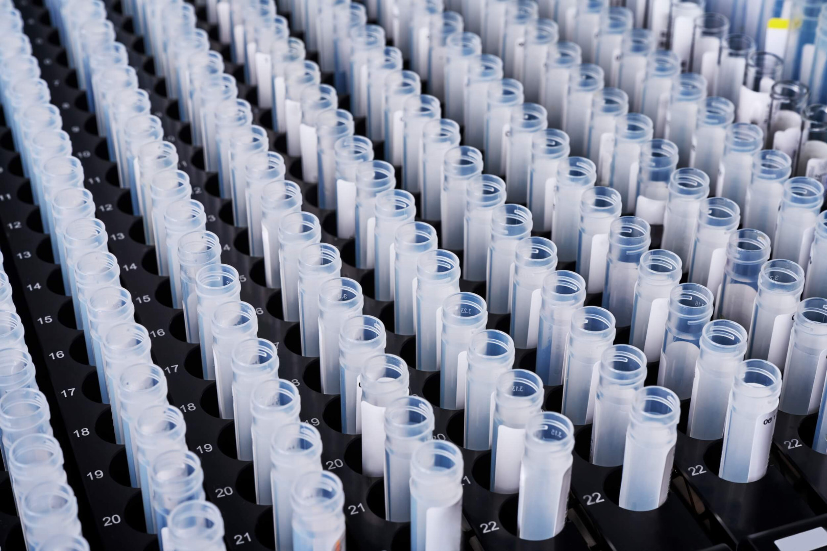 Mars to acquire Synlab Vet - petworldwide