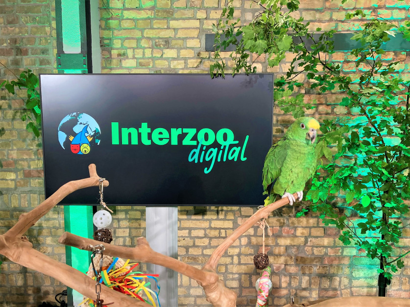 Respectable showing for Interzoo.di... - petworldwide