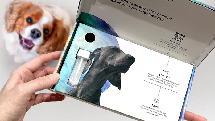 Pooch & Mutt acquires Biome9 - petworldwide