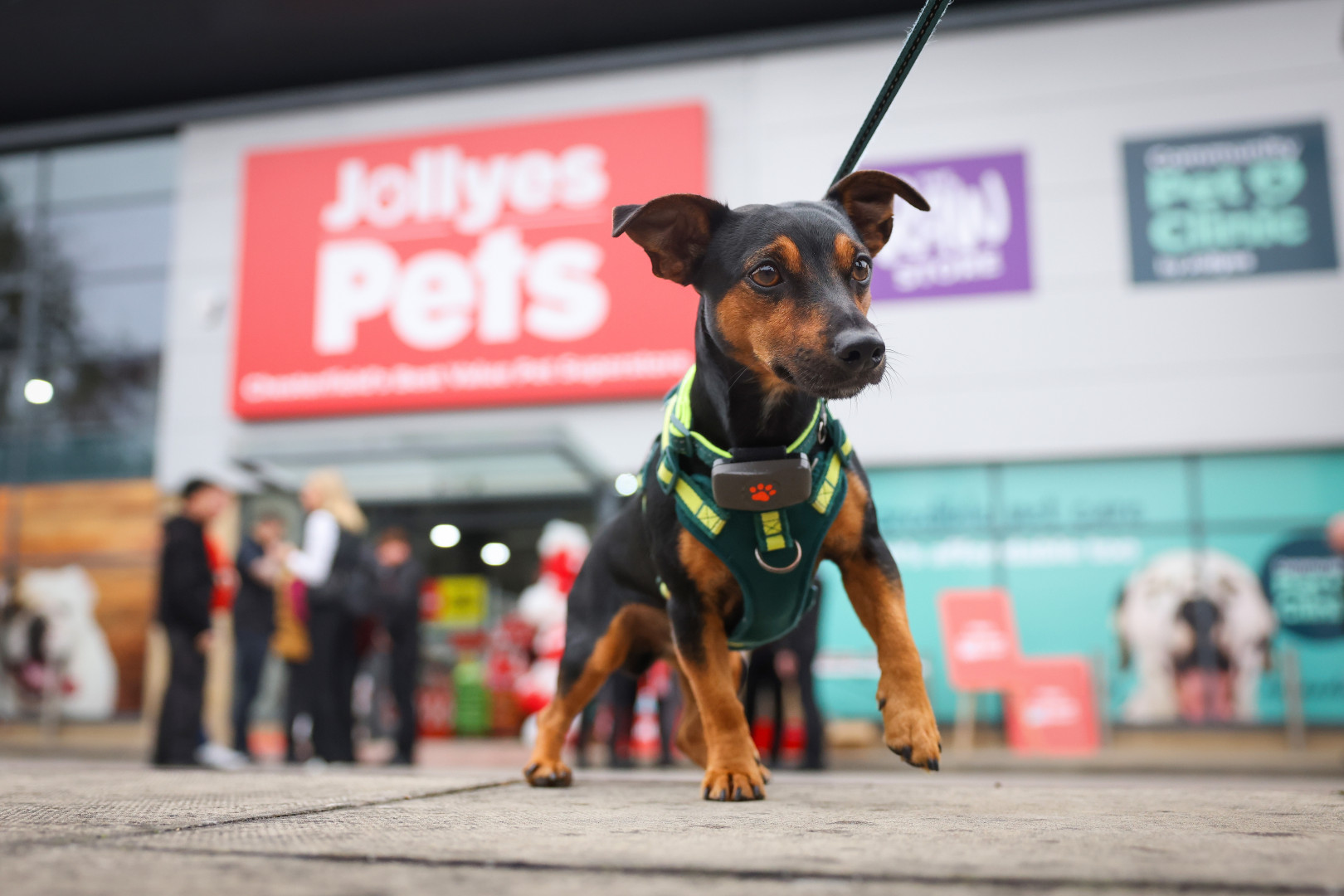 Jollyes to open stores in former Po... - petworldwide