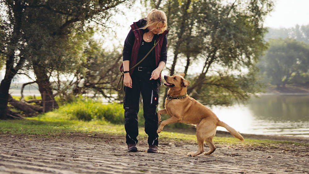 Mera is … nurturing sustainable rel... - petworldwide