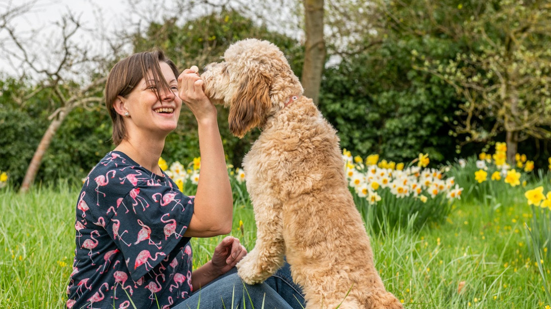 Nutramax and ADM extend their distr... - petworldwide